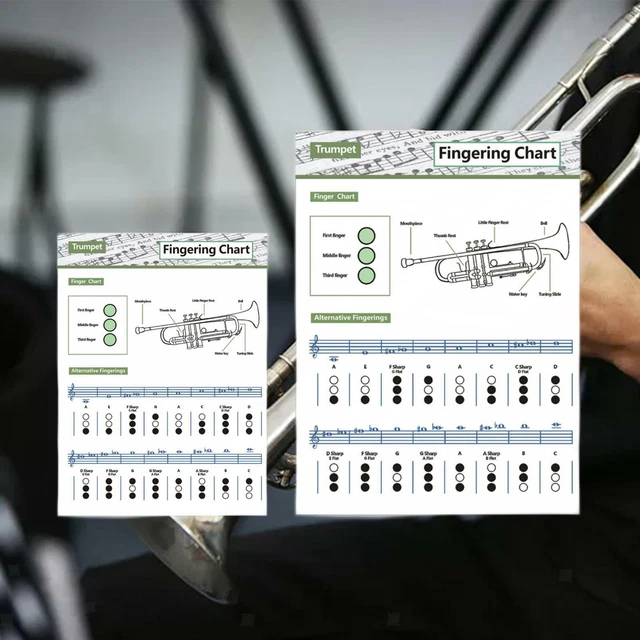 TRUMPET DIAGRAMS BASIC Fingering Chart for Learning Material £4.57 ...