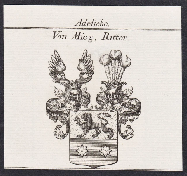 MIEG ARMOIRIES COAT Of Arms Héraldique Genealogie Gravure sur Cuivre ...