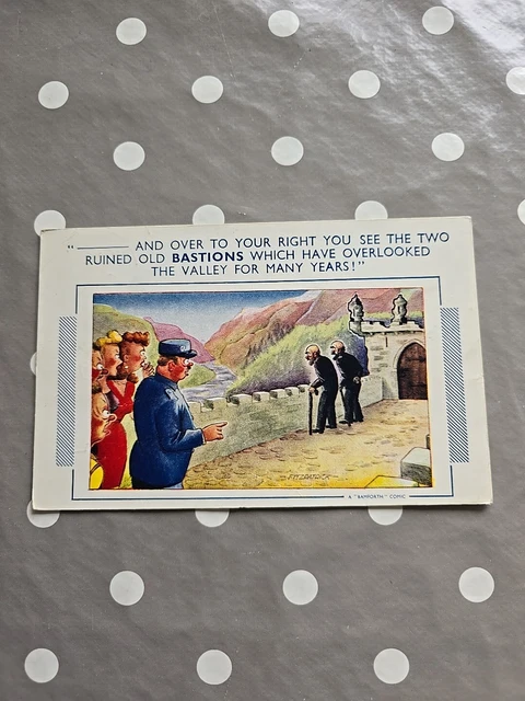 VINTAGE SAUCY SEASIDE Comic Postcard Bamforth Brown Triangle No 1343 ...