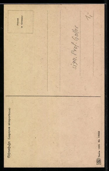 CARTOLINA D'ARTISTA JOSEPH Goller: pollo delle nevi, sciatori fumatori ...