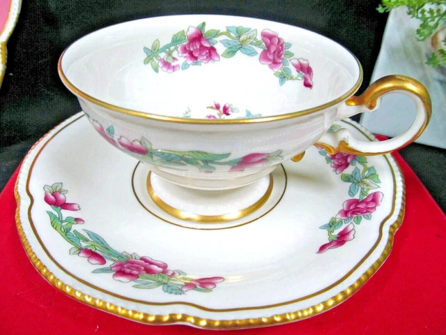 CASTLETON TEA CUP and saucer Tree of India pattern teacup pink rose ...