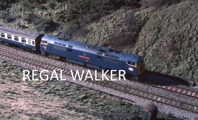 ORIG 35MM SLIDE British Railway - Class 52 D1013 Western Ranger Upwey ...