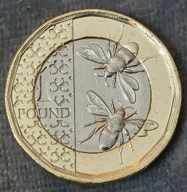 UNC 2025 LEFTIE Lefty £1 One Pound Coin Bees King Charles £7.04 ...