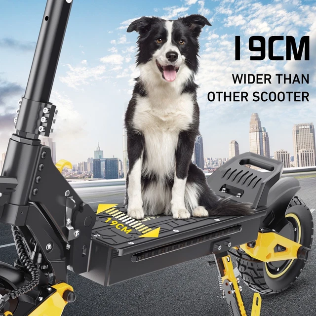 IENYRID ES1 1200W 60Km/H-S1 800W 45Km/H-M1-250W 25Km/H/Vipcoo Vs 3 800W ...