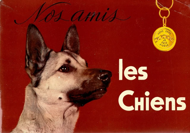 ALBUM EDITIONS LACROIX & Lebeau - Nos amis les chiens (sans date ...