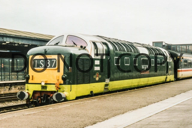 UK DIESEL TRAIN Railway Photograph Of Class 55 D9000 Locomotive. Rm55 ...