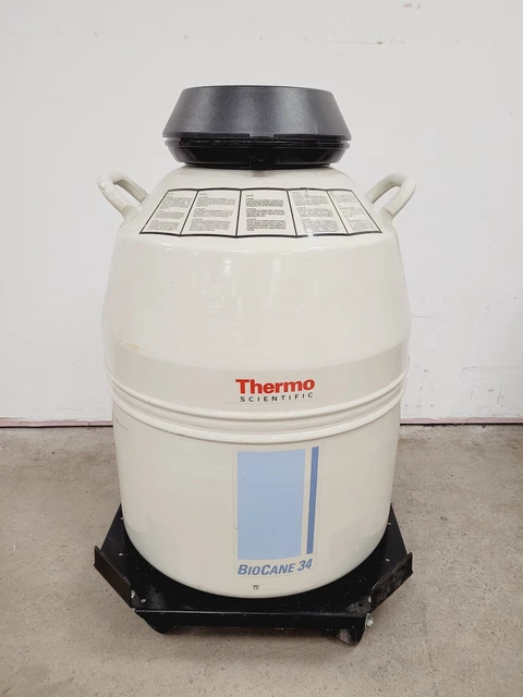 THERMO SCIENTIFIC BIOCANE 34 Model - 808 Liquid Nitrogen Dewar Lab $292.46 - PicClick AU