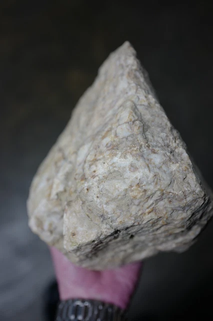 GRAND BIFACE ACHEULÉEN France Hand Axe Quartzite EUR 129,00 - PicClick FR