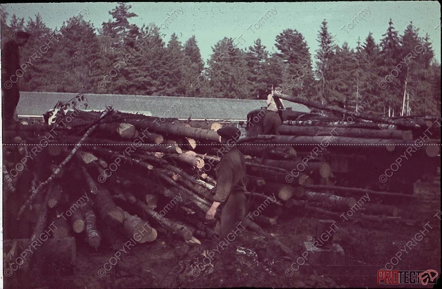 ++ ORIGINAL FARBDIA Agfacolor Front Soldaten Ostfront Bunker bau ...