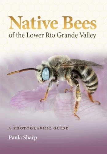 PAULA SHARP NATIVE Bees of the Lower Rio Grande Valley (Poche) EUR 82 ...