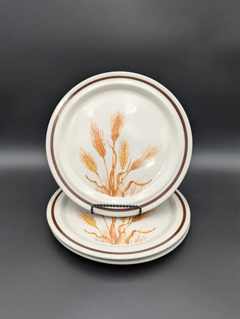 MCM JAPAN MAIN Aisle Stoneware Buckwheat Set of 3 Dinner Plates £6.32 ...
