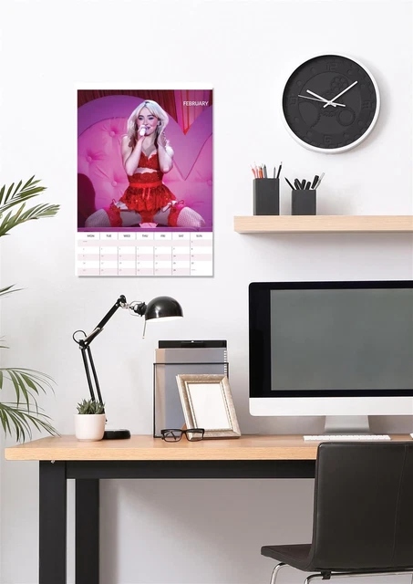 SABRINA CARPENTER 2026 Kalender 2026 A3 (297 X 420 MM) Volle Farbe EUR ...