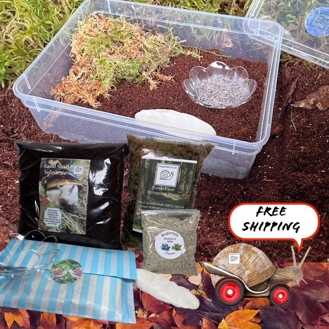 3L GIANT AFRICAN Land snail Starter Kit, Garden Snail, Complete Low ...