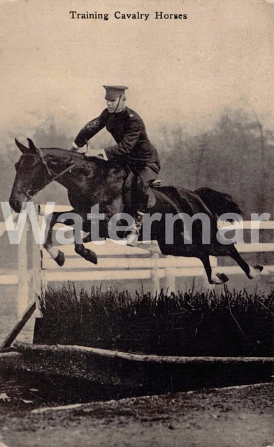 0418. BRITISH ARMY. Training Cavalry Horses. WWI era or earlier ...