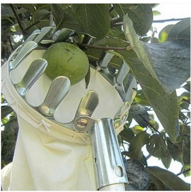 FRUIT PICKER WITH Bag Basket Garden Farm Fruit Catcher Harvest Picking ...