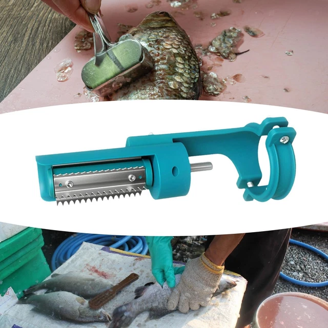 FISH DESCALER TOOL Drill Attachment Fish Scaler for Electric Drill Fish ...