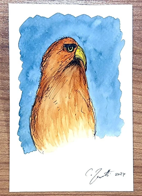 CHRIS ZANETTI ORIGINAL Watercolor Painting HAWK Bird Wildlife Art 6"X4 ...