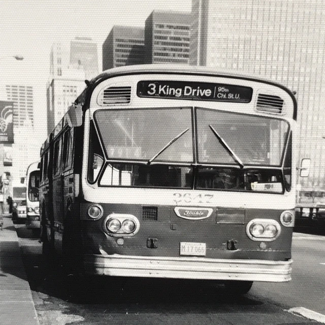CHICAGO TRANSIT AUTHORITY CTA Bus #3647 Route 3 King Drive Photograph ...