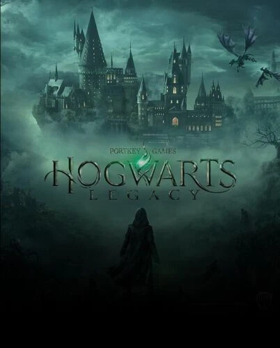 HOGWARTS LEGACY - Deluxe Edition (PC) (STEAM SHARED) £6.00 - PicClick UK