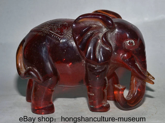6 & OLD Chinese Red Amber Carved Fengshui Animal Fu Elephant Wealth ...