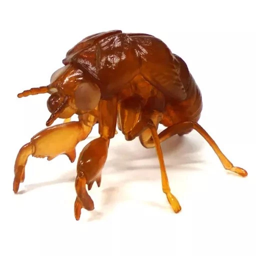 ICHIBAN KUJI INSECT LIFE Cicada Shell Figura de Escritorio Soporte de ...
