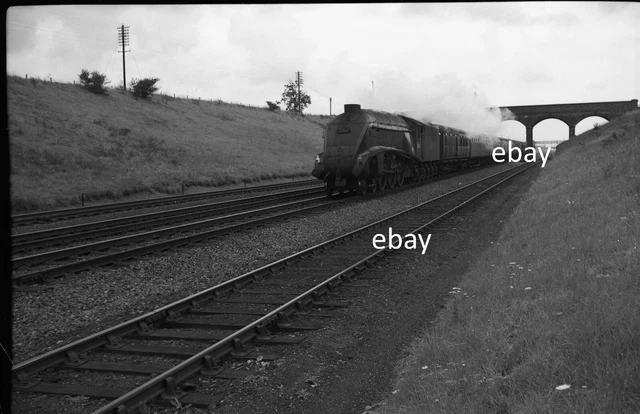 ORIGINAL LARGE NEGATIVE Of Br Lner Steam Loco 60008 Abbots Repton 30/7 ...