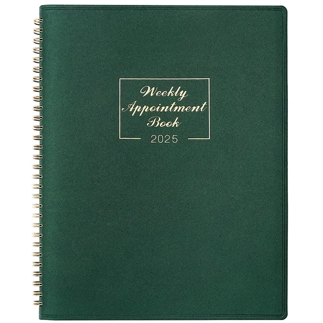 APPOINTMENT BOOK 2025-2025 Diary from Jan. 2025 - Dec. 2025, A4 Week to View £10.32 - PicClick UK