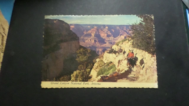 CP CARTE POSTALE Usa Mule Train Grand Canyon Arizona Vf Post Card EUR 6 ...