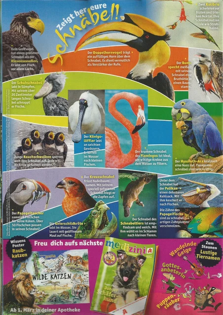 MEDIZINI MIT POSTER Heft #02-2025 Leopard-Poster 2025 Februar NEU EUR 1 ...