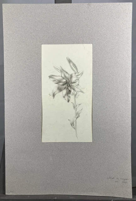 ART NOUVEAU LEAD mine drawing study flowers circa 1900 $97.72 - PicClick CA