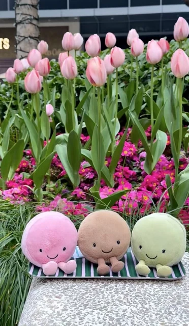 JELLYCAT AMUSEABLES MACARON Plush Toy | Collectible Soft Toy with Tag ...