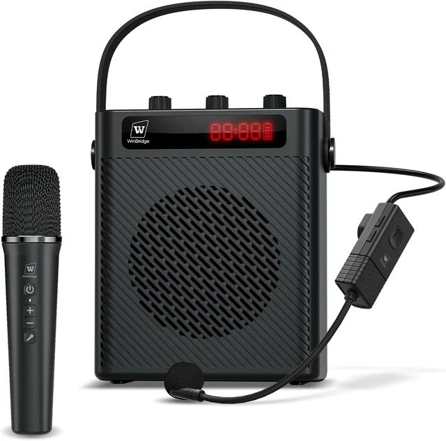 40W PORTABLE PA Speaker System with Two Wireless Microphone, Wireless ...