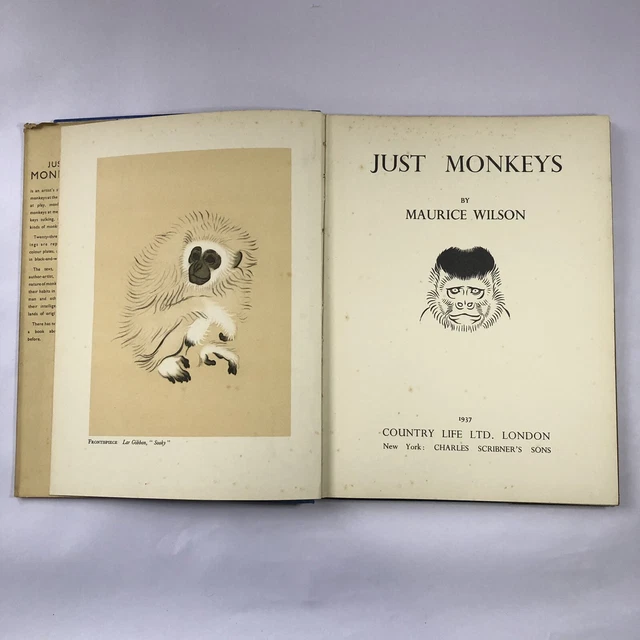 MAURICE WILSON JUST Monkeys Country Life Ltd 23 Coloured plates 1937 ...