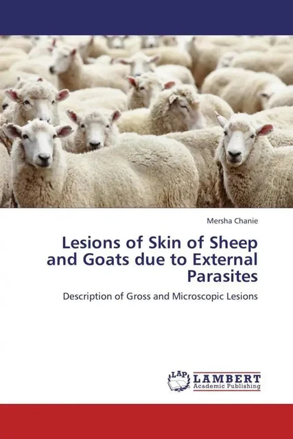 MERSHA CHANIE | Lesions of Skin of Sheep and Goats due to External ...