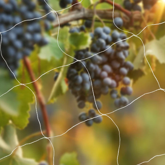 HEAVY DUTY TRELLIS Netting Roll - 4ft × 3280ft Soft Mesh Net For ...