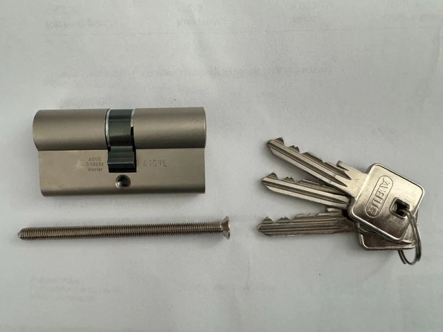 ABUS D58292 WETTER - 6 cm Zylinder mit 3 Schlüsseln EUR 9,99 - PicClick DE