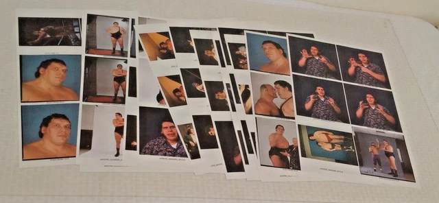 16 VINTAGE 1989 WWF Employee TIF Photo Promo Sheet Lot ANDRE THE GIANT ...