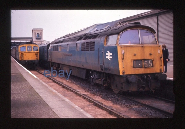 ORIGINAL 35M SLIDE - Class 52 D1010 'Western Campaigner' at Exeter SD c ...