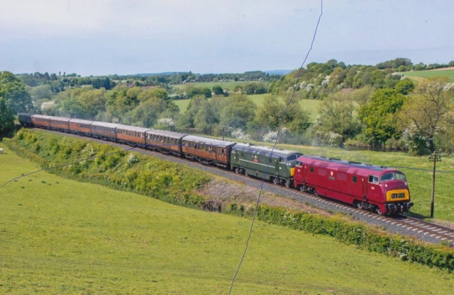 DIESEL TRAIN PHOTO Green/Red Class 42 Photograph Railway Picture ...