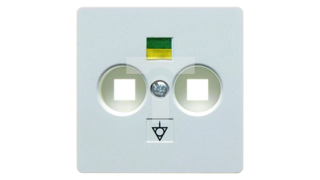 CENTRAL PLATE FOR potential equalization socket snow-white S.1/B.1/B.3 ...