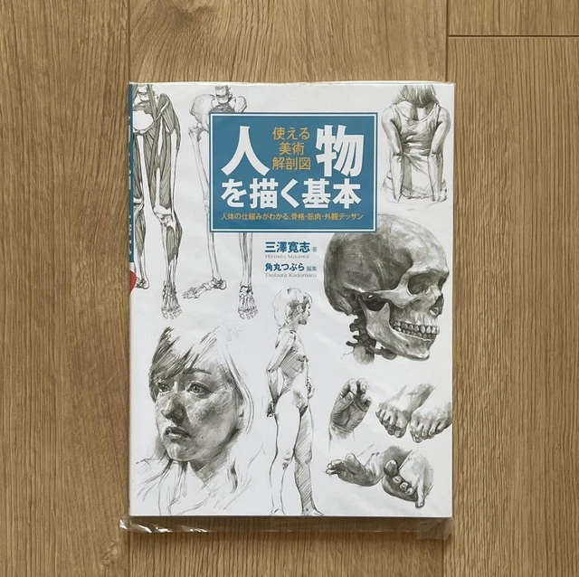 HOW TO DRAW Anatomy, Basics Book, By Hiroshi Misawa JAPANESE £60.00 ...