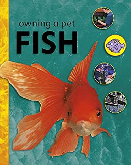POISSON LIVRE DE Poche Ben, Bois, Selina Hoare EUR 5,26 - PicClick FR