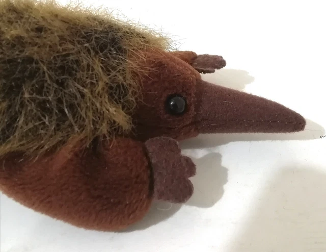 BABY ECHIDNA/ANTEATER BEANIE Soft Toy Plush By Windmill Toys Australia ...