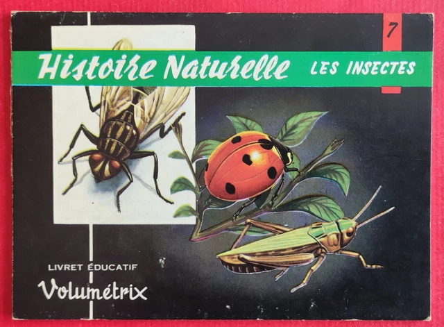 LIVRET EDUCATIF VOLUMETRIX N°7 HISTOIRE NATURELLE - LES INSECTES - 1963 ...