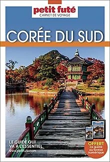 GUIDE CORÉE DU Sud 2023 Carnet Petit Futé de Auzias d... | Livre | état très bon EUR 5,48 ...