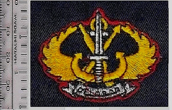 POLICE INDONESIA INDONESIAN National Police INP SWAT Team Patch vel ...