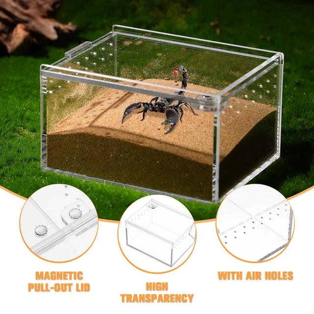 REPTILE ENCLOSURES CRICKET Habitat Cricket Container Breeding Box £11. ...
