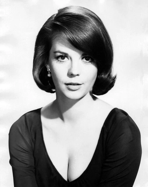 Vintage Retro Natalie Wood Actress Sex Symbol 8x10 Photo Reprint 0006