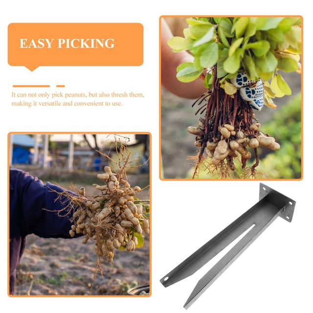 PEANUT PICKER DEVICE Manual Peanut Removing Tool Floor Peanut Tool £26. ...