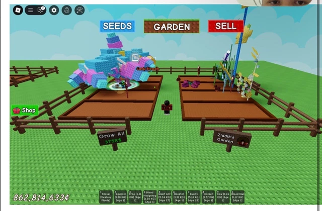 GROW A GARDEN | 🍬 4-9 Candy Blossom 🌸 | In Garden | RARE AND CHEAP £48. ...
